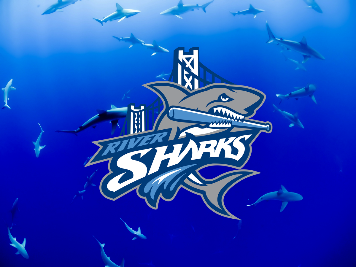 Camden Riversharks Baseball Apparel | Shop Camden Riversharks Shirts ...